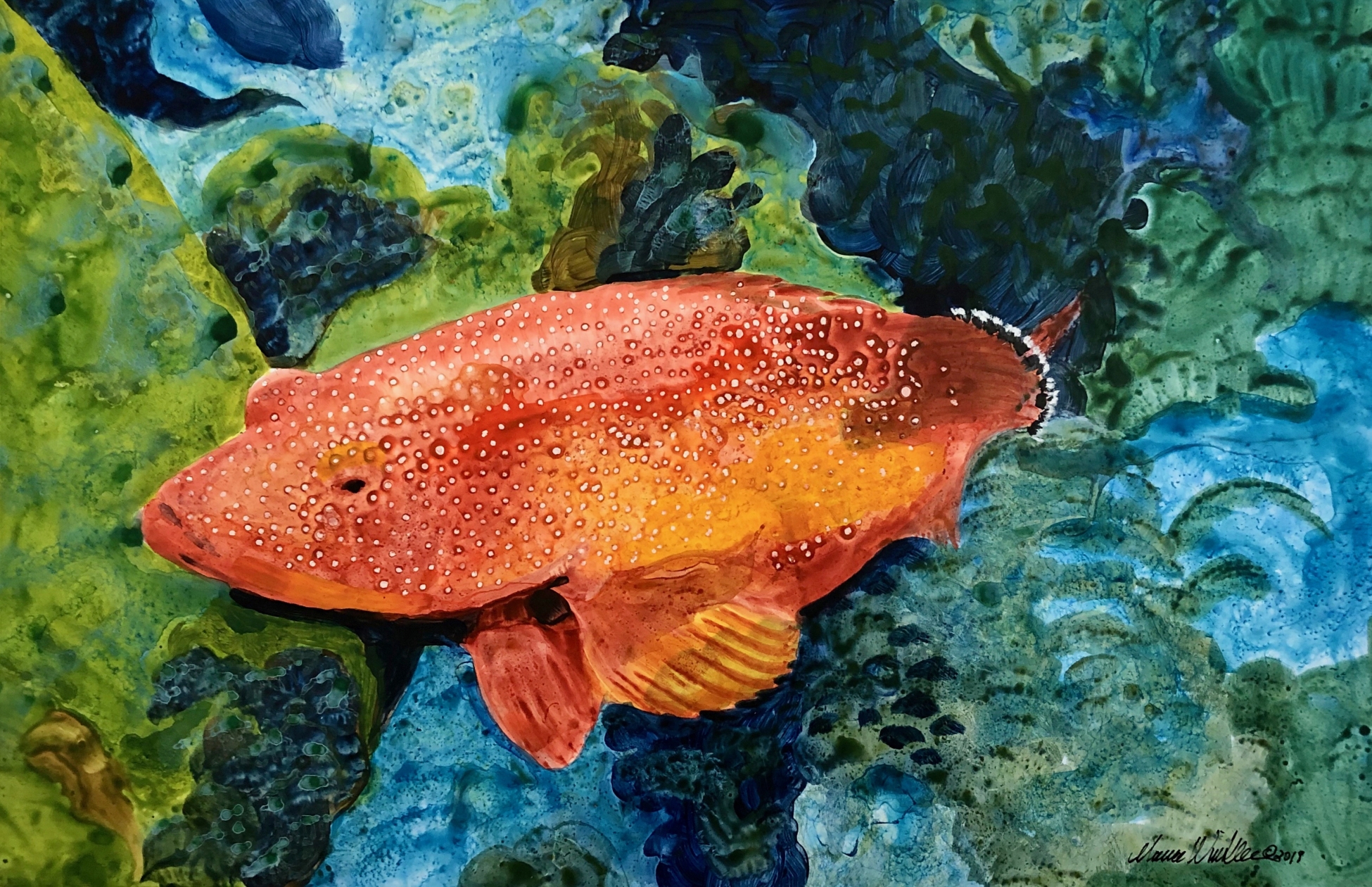 Jamaican Coney Animal Database