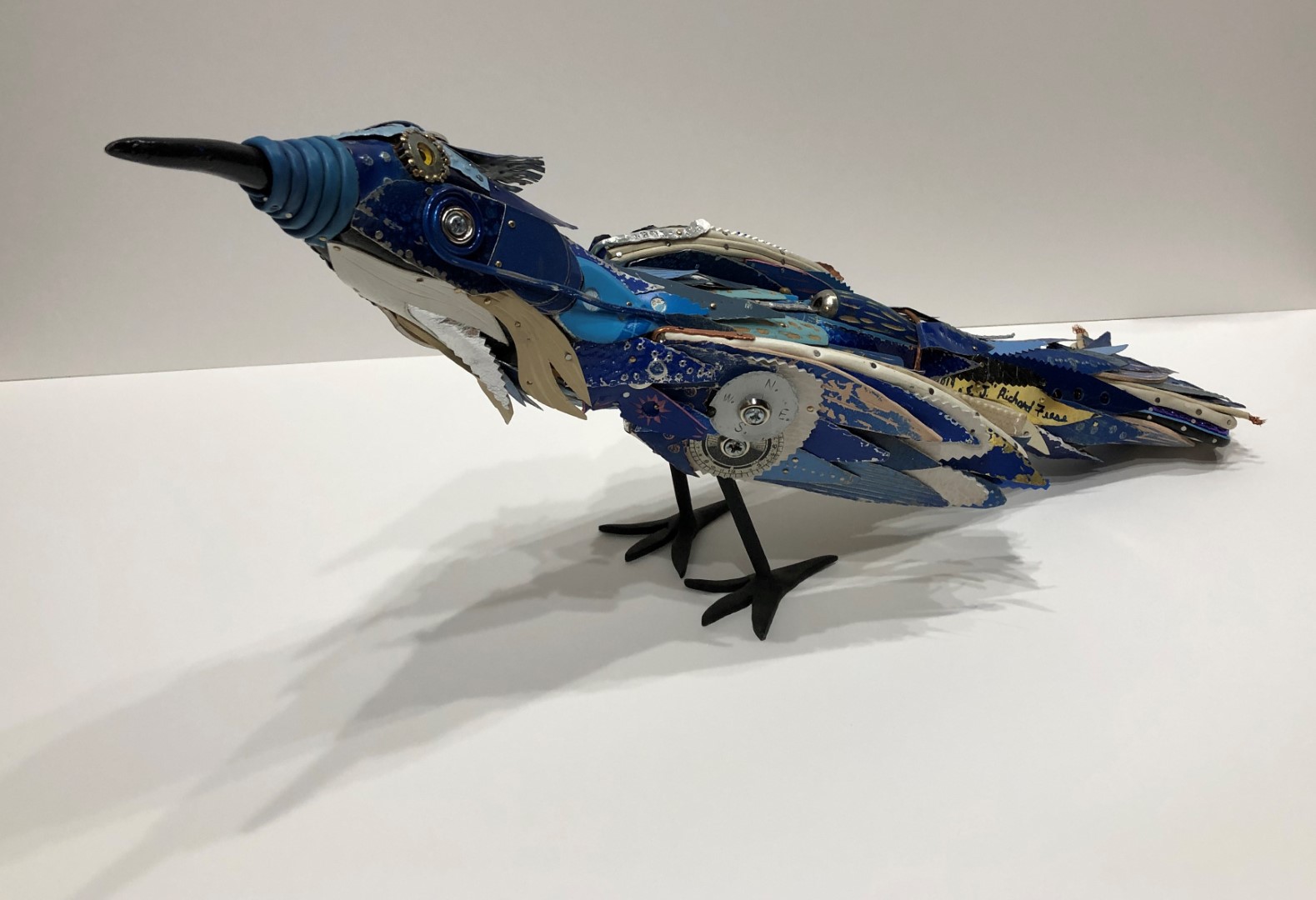 Feather, Fins, and Fur | Archival Gallery Sacramento